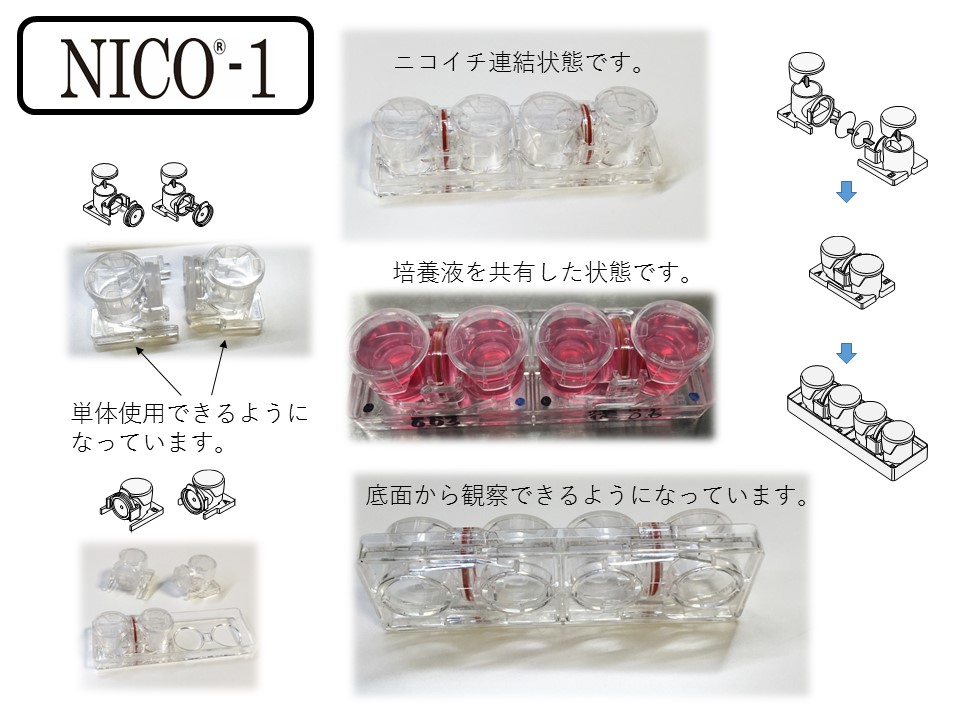 nico-1の写真公開 | nico-1 ドットインフォ